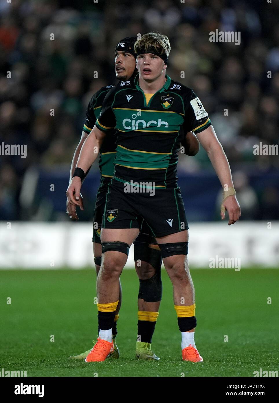 Northampton Saints' Henry Pollock (front) and Juarno Augustus during ...