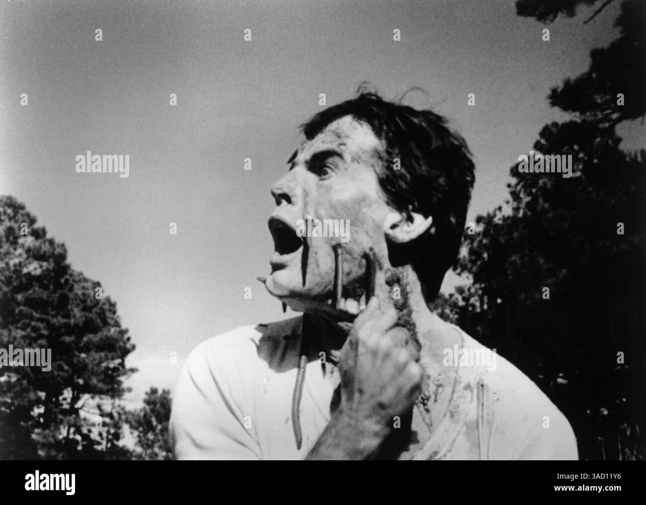 Studio released publicity film still from "Squirm" 1976 AIP File ...
