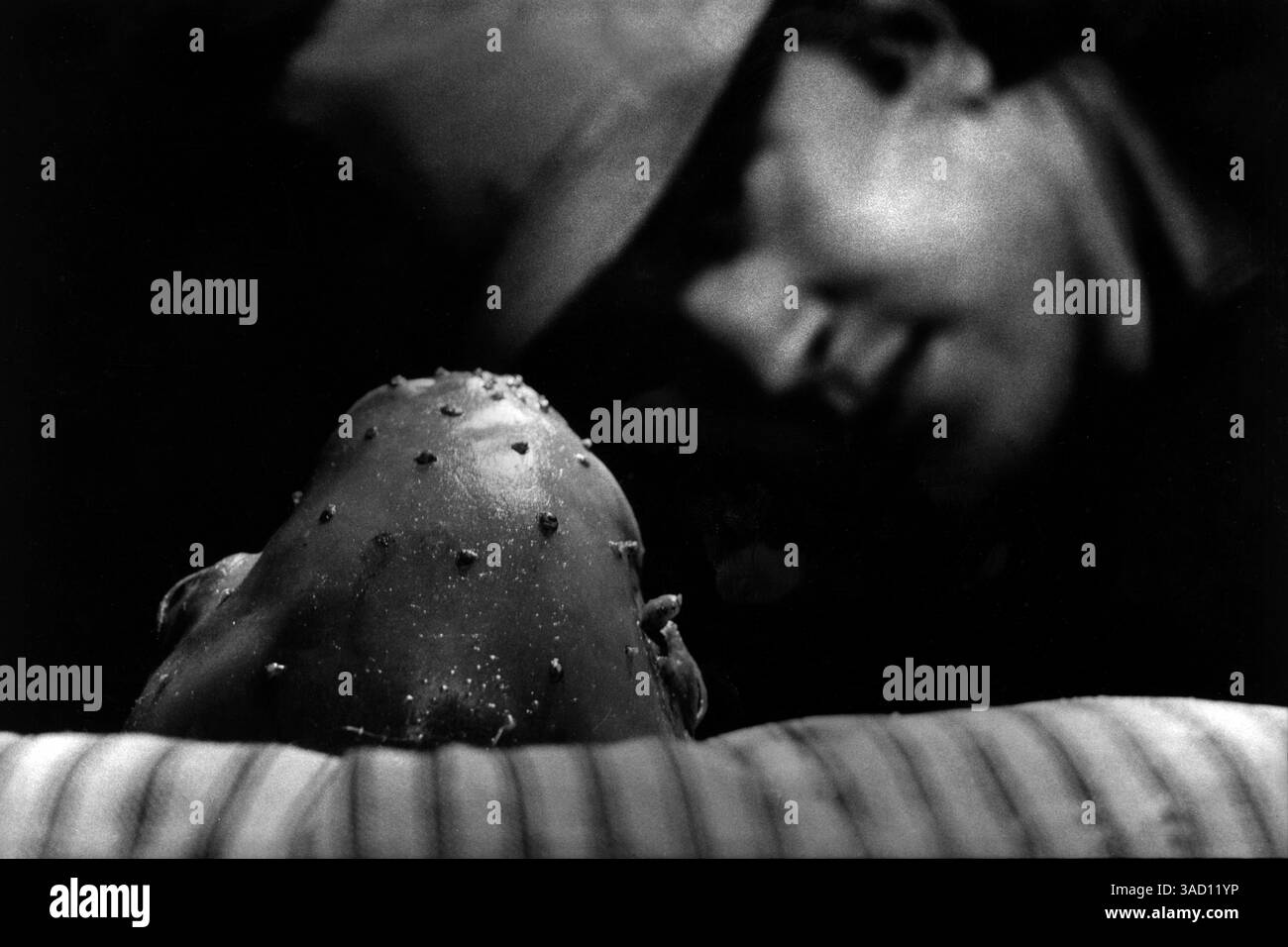 Studio released publicity film still from "Eraserhead" Director David Lynch 1977 Libra Films ...