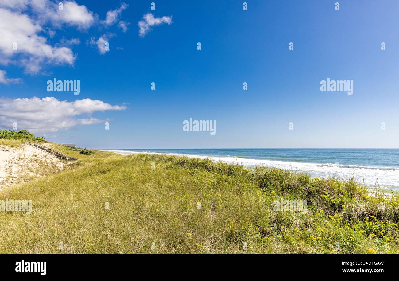 summer landscape of an amagansett beach Stock Photo - Alamy
