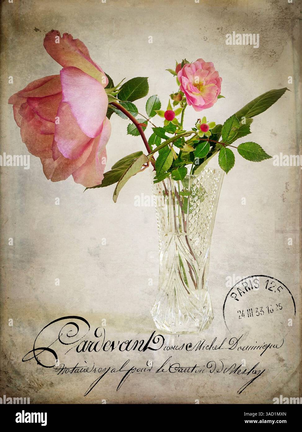 Floral Display, English Rose Stock Photo - Alamy