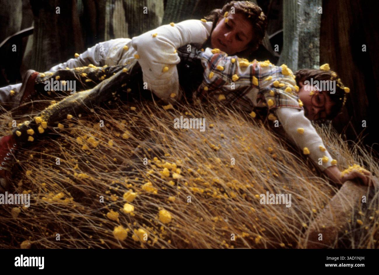 Film still or Publicity still from "Honey, I Shrunk the Kids" Thomas ...