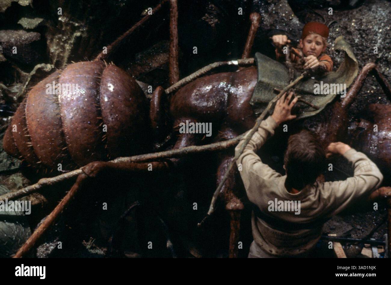 Film still or Publicity still from "Honey, I Shrunk the Kids" Jared ...