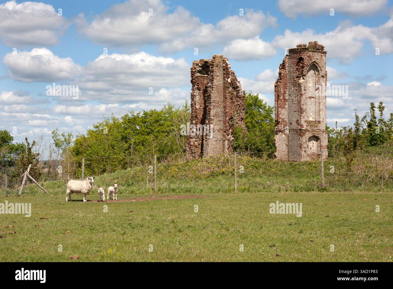 Vandalian ruined 18th century 'Lady Hamiltons Folly' honouring the ...