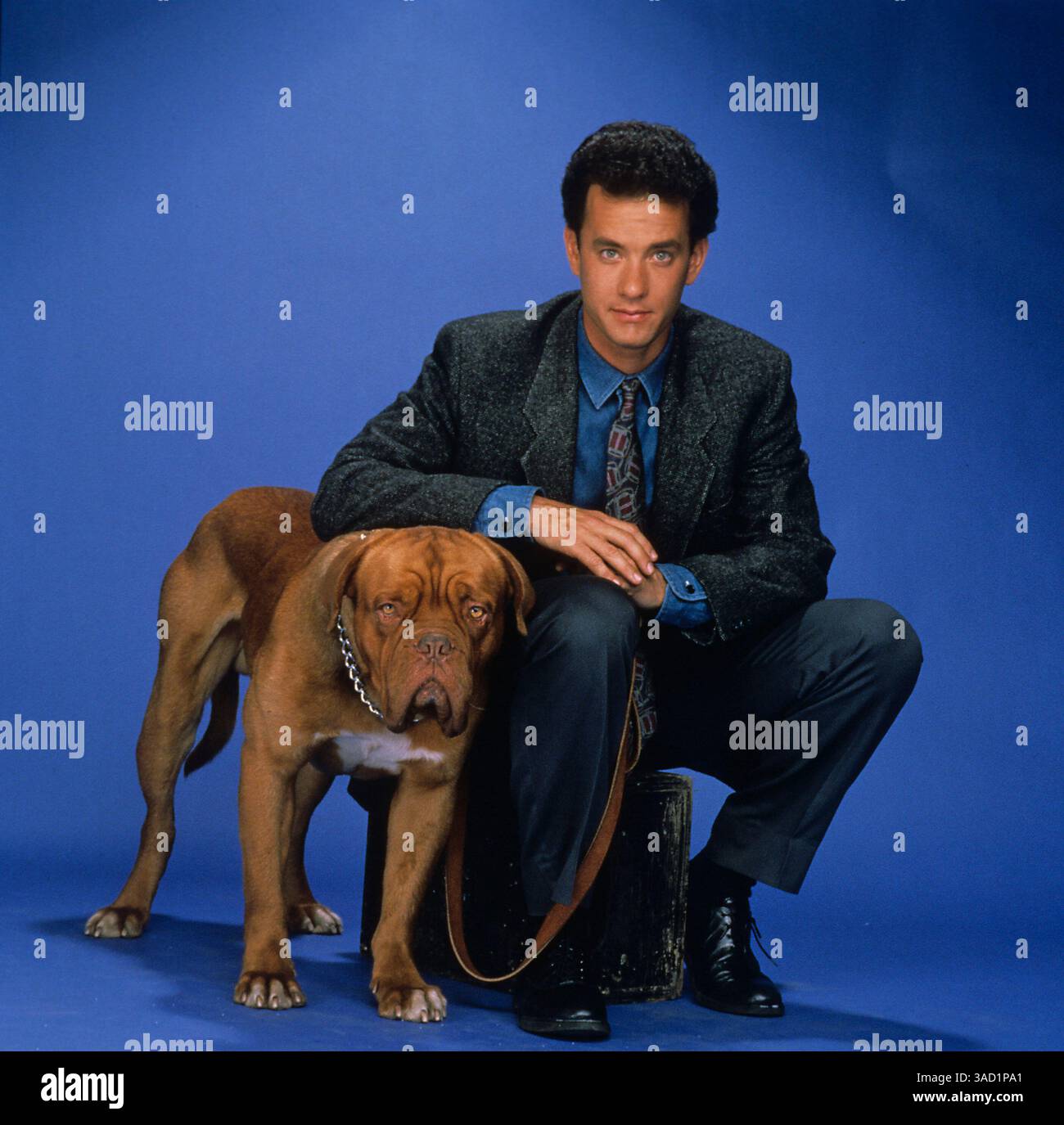 Film still or Publicity still from "Turner & Hooch" Tom Hanks 1989 ...