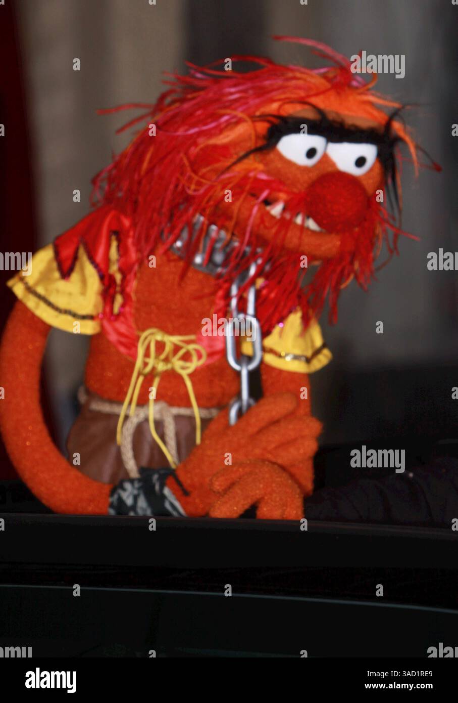 Nov. 12, 2011 - Hollywood, California, U.S. - Animal at 'The Muppets ...