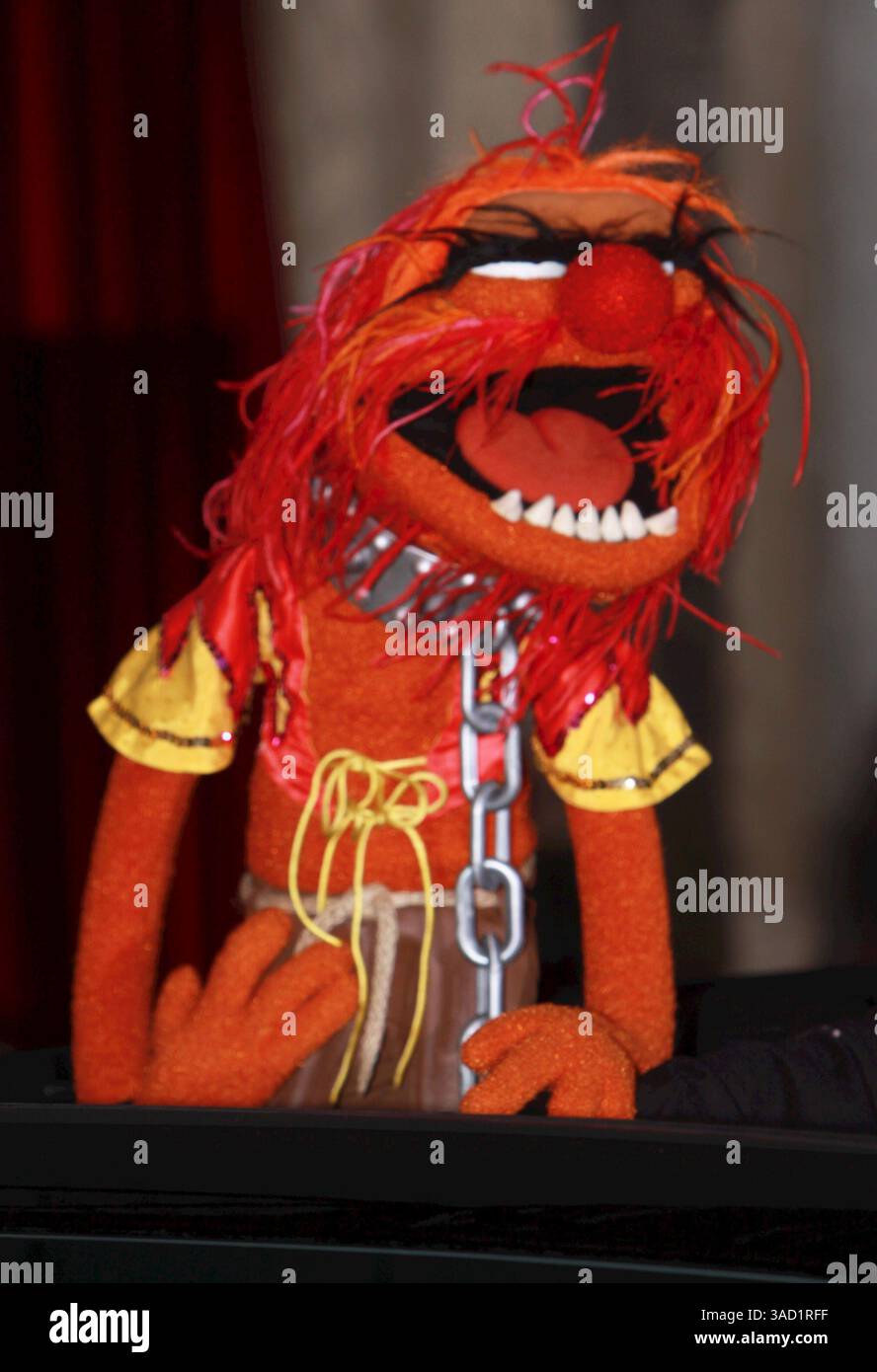 Nov. 12, 2011 - Hollywood, California, U.S. - Animal at 'The Muppets ...