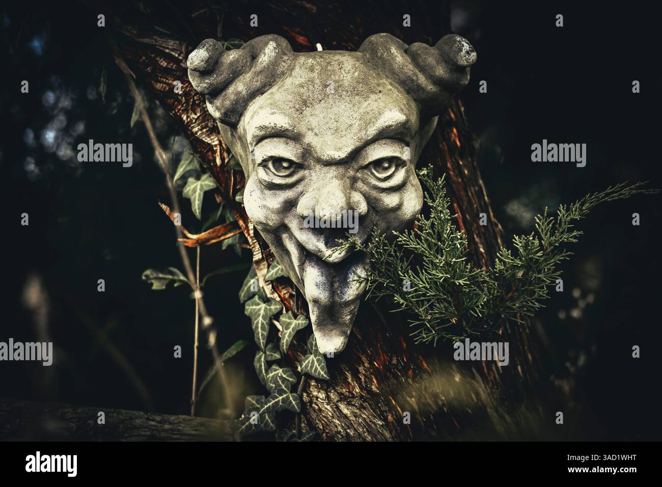 Borderline personality disorder hi-res stock photography and images - Alamy