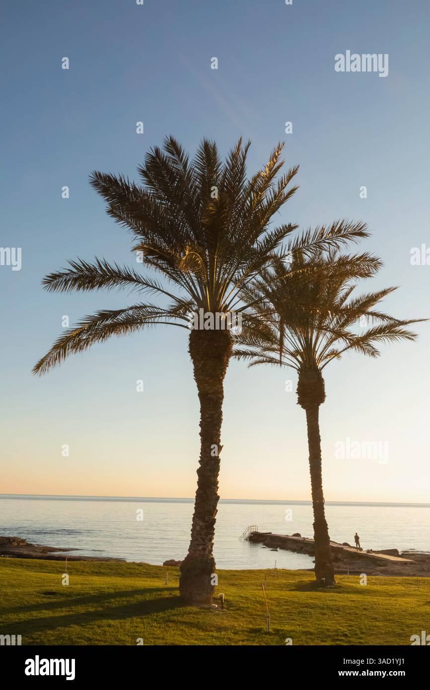 Cyprus, Paphos, Seafront Palm Trees at Sunset Stock Photo - Alamy