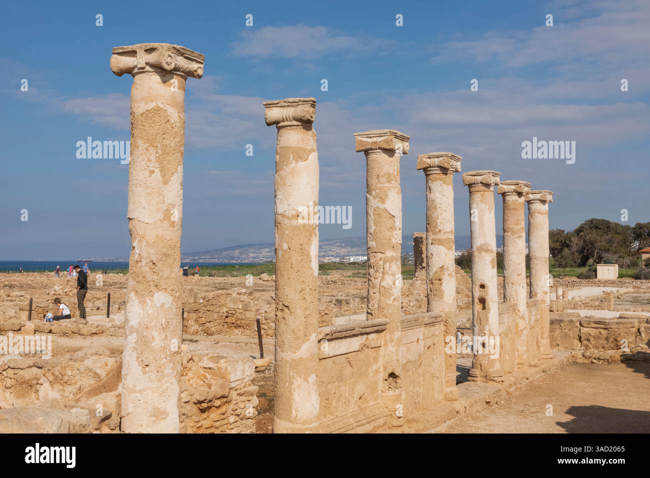 Cyprus, Paphos, Nea Pafos Archaeological Site, Pillars of the House of ...