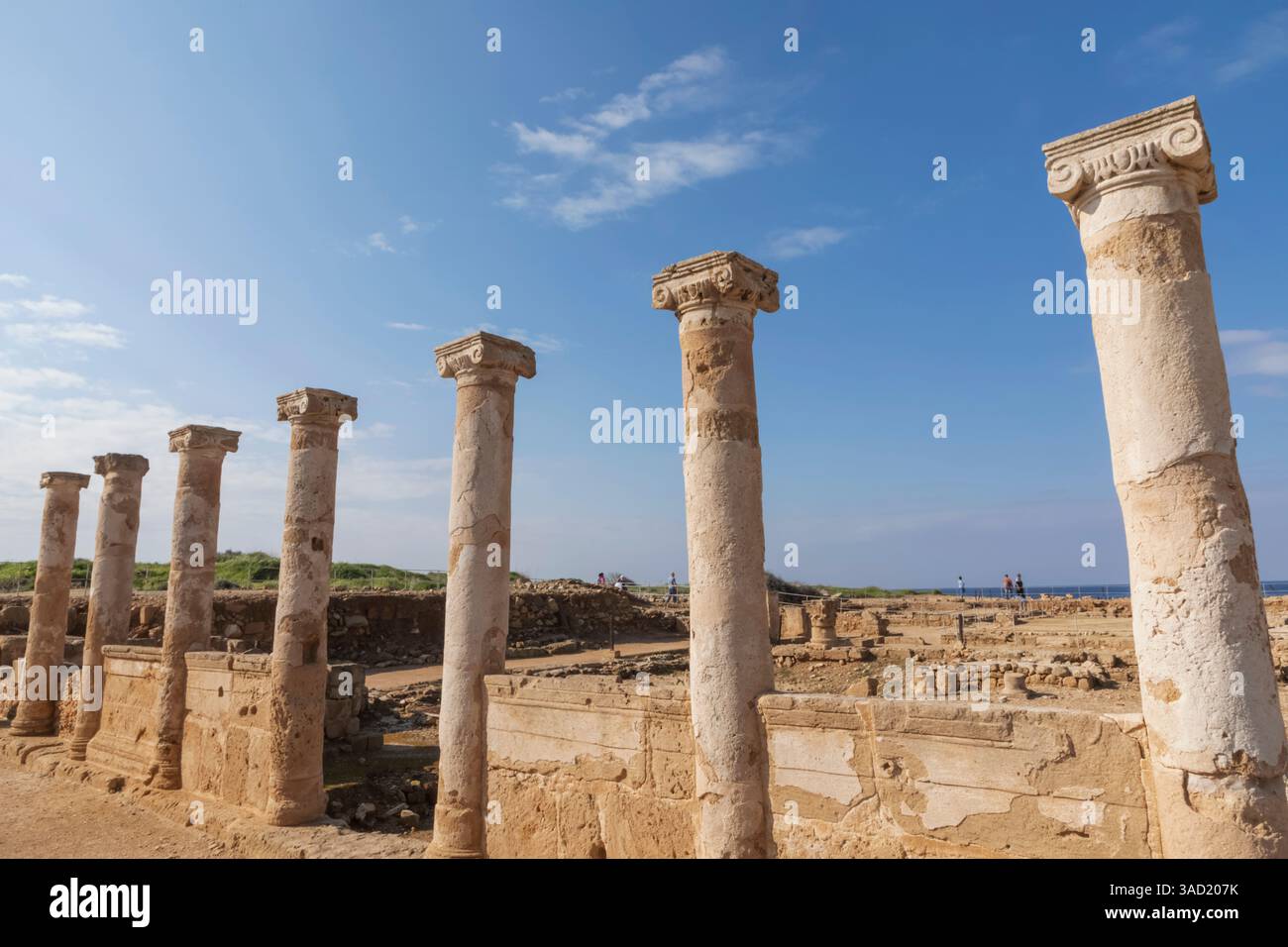 Cyprus, Paphos, Nea Pafos Archaeological Site, Pillars of the House of ...