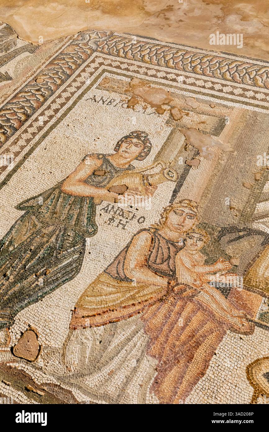 Cyprus, Paphos, Nea Pafos Archaeological Site, House of Theseus, Roman ...