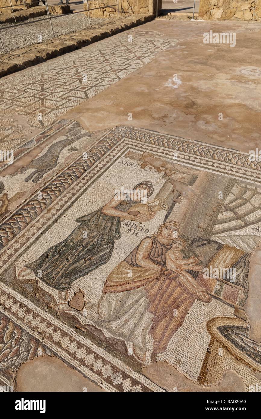 Cyprus, Paphos, Nea Pafos Archaeological Site, House of Theseus, Roman ...