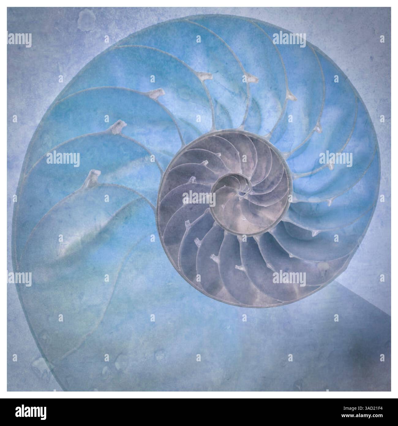 Spiral gallery Cut Out Stock Images & Pictures - Alamy