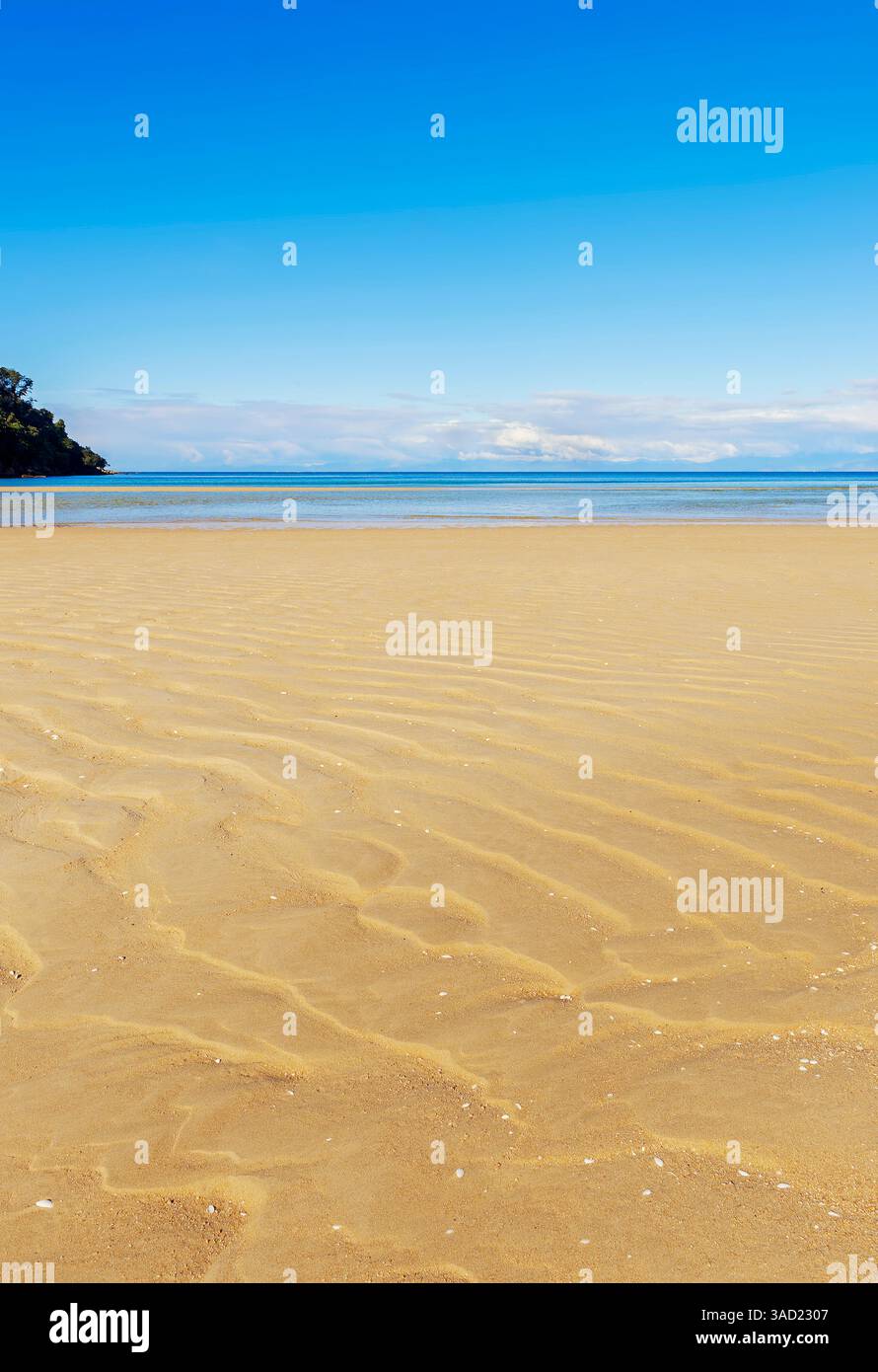 Bark Bay, Abel Tasman National Park, Nelson Region, South Island, New ...