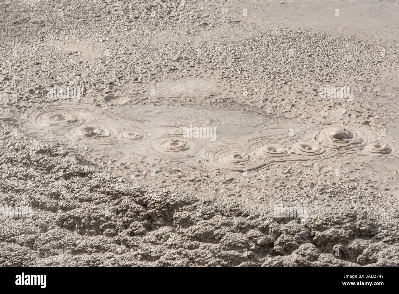 Hot bubbling mud, Waiotapu Thermal Park, Waiotapu, Rotorua, Bay of ...