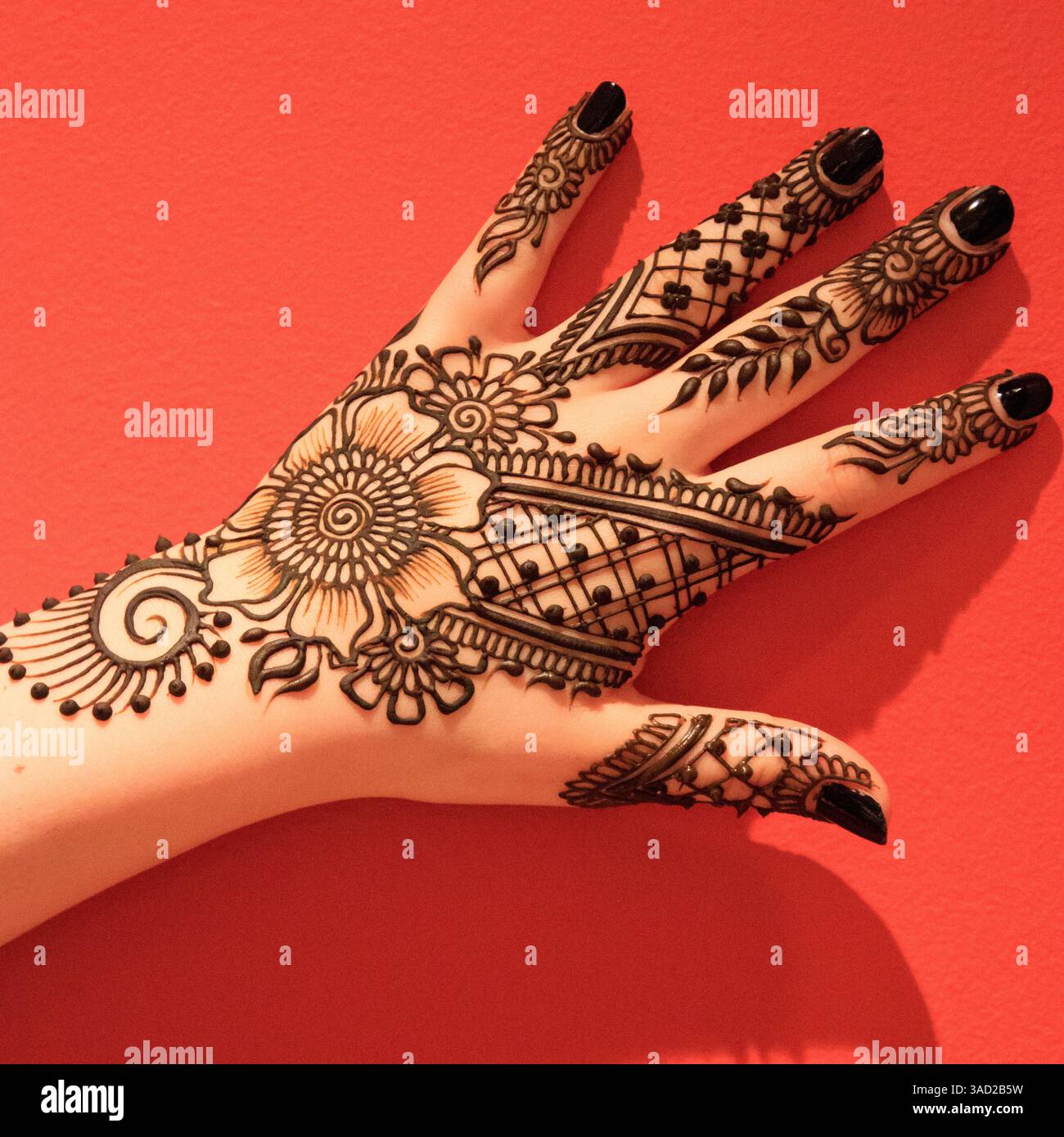 USA, Washington State. Indian Mehendi celebration. Henna application ...