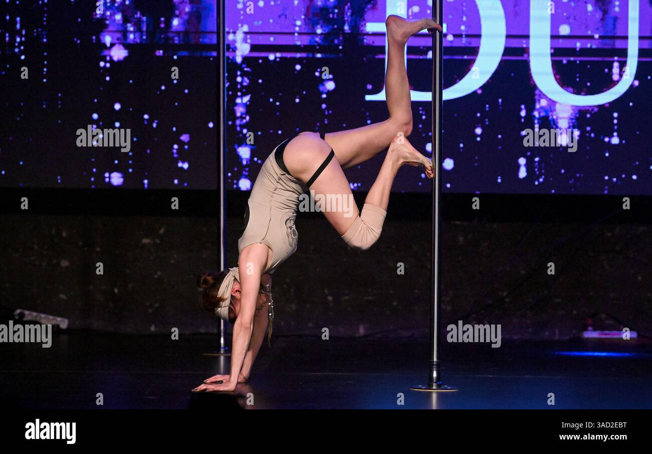 Zagreb, Croatia. 04th Apr, 2025. Pole dancer performs on stage during Flow Case 2025 - Pole ...