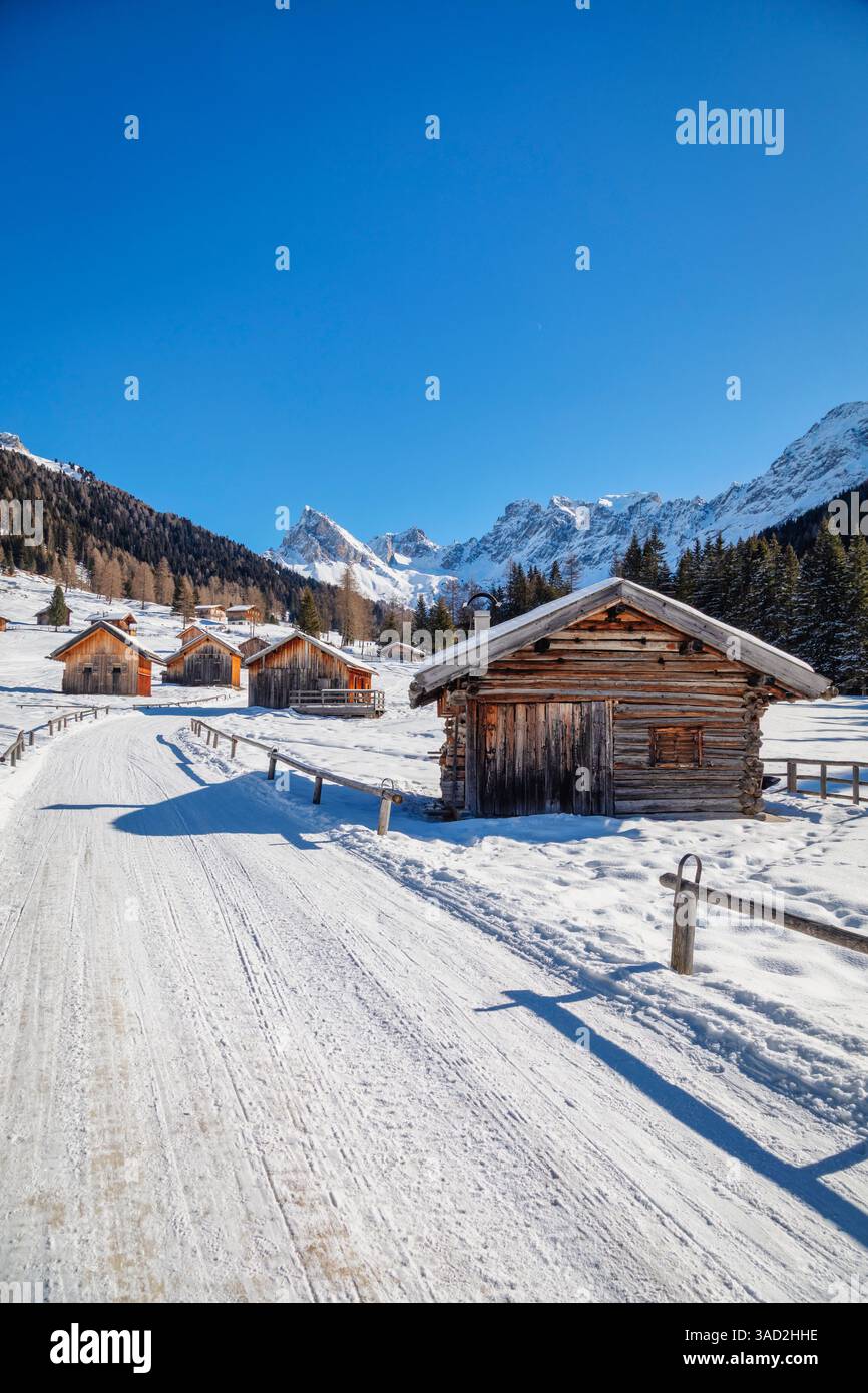 Small alpine village with traditional wooden huts in Val San Nicolò ...