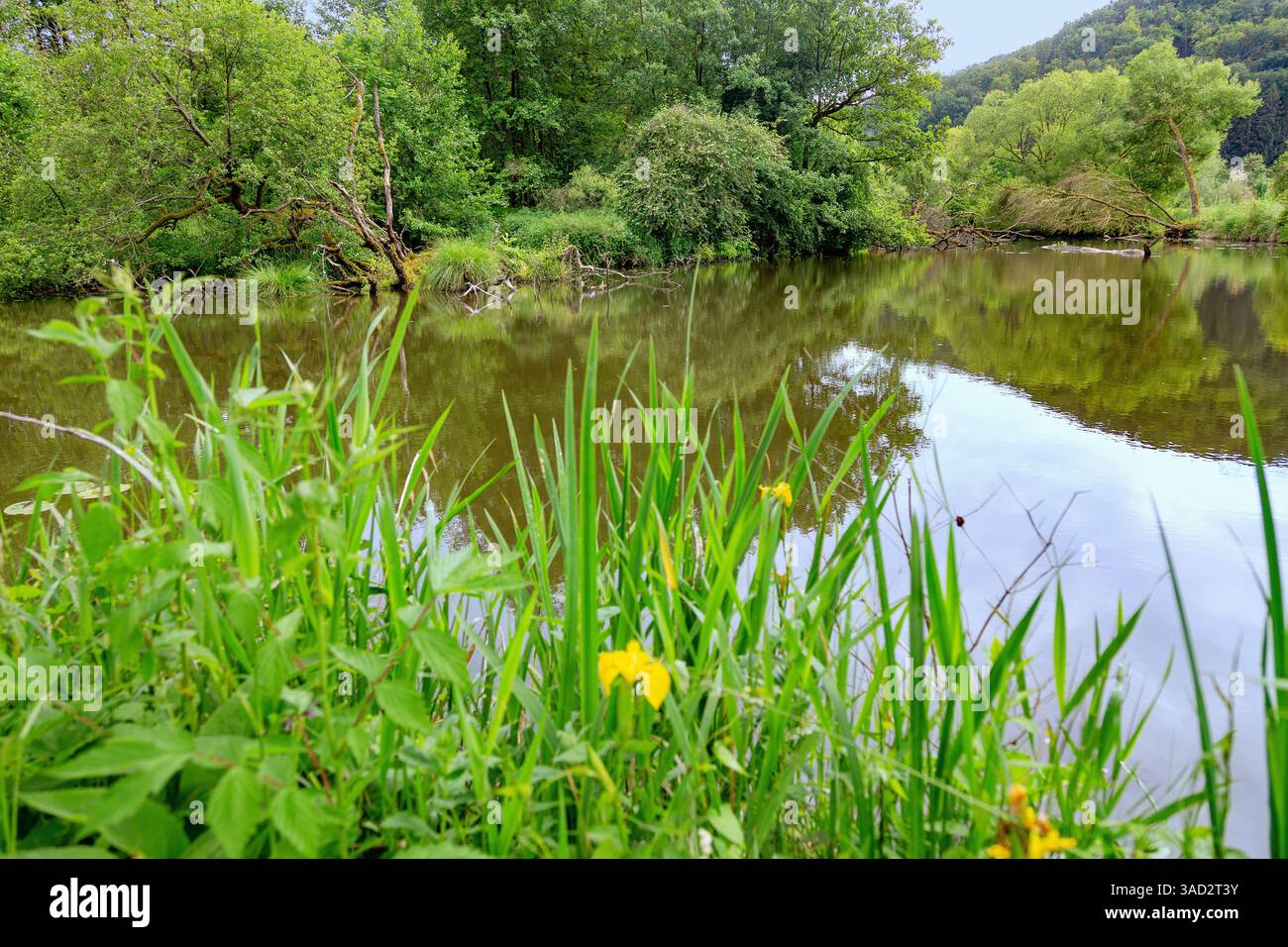 Danube canal cycle hi-res stock photography and images - Alamy