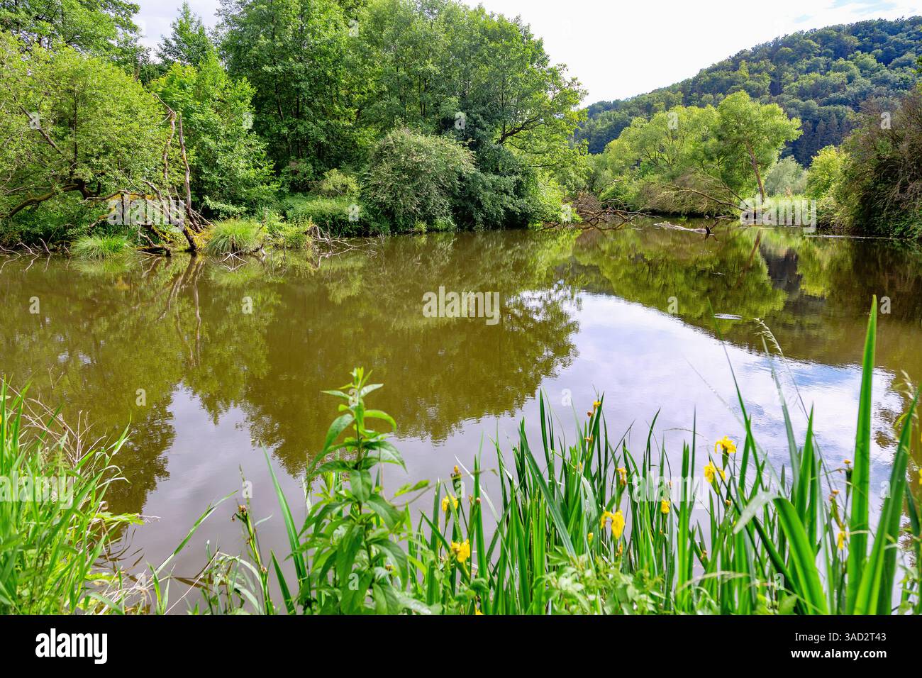 Danube canal cycle hi-res stock photography and images - Alamy