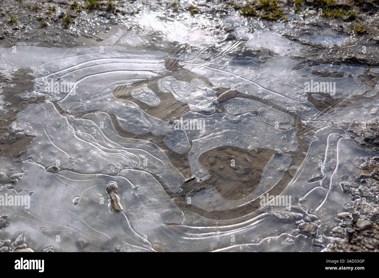 Frozen puddle in Upper Bavaria, Germany Stock Photo - Alamy