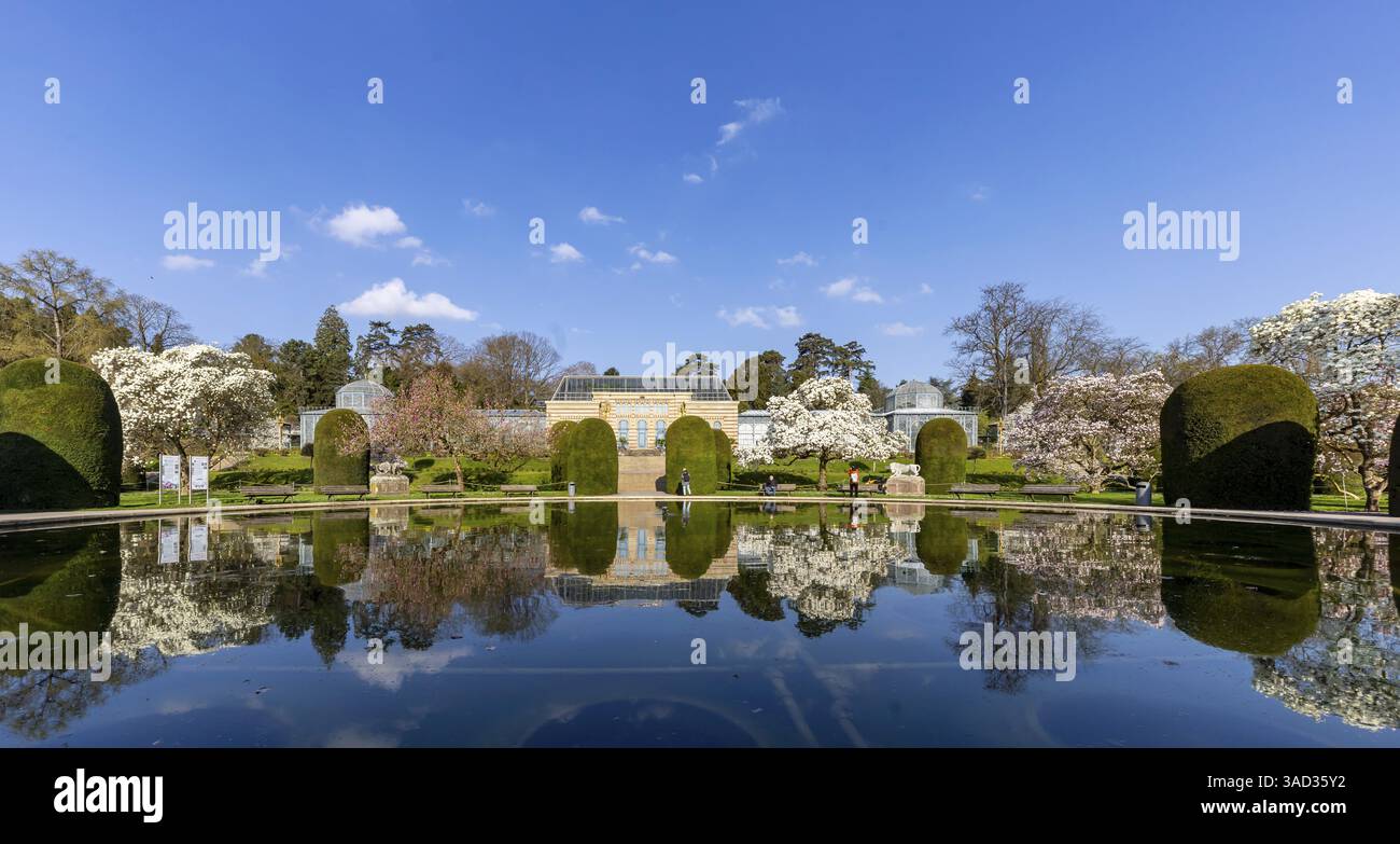 Water lily pond in the Wilhelma Zoological and Botanical Gardens in ...