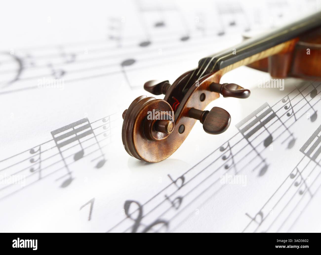 Detail view of a violin, sheet music, composing Stock Photo - Alamy