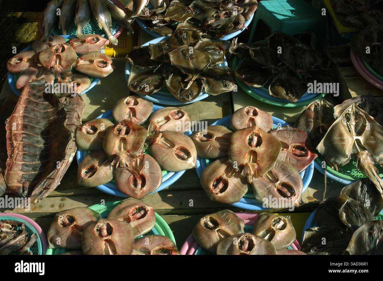 June 11, 2005 - Dried stingrays for sale at Jagalshi seafood market ...