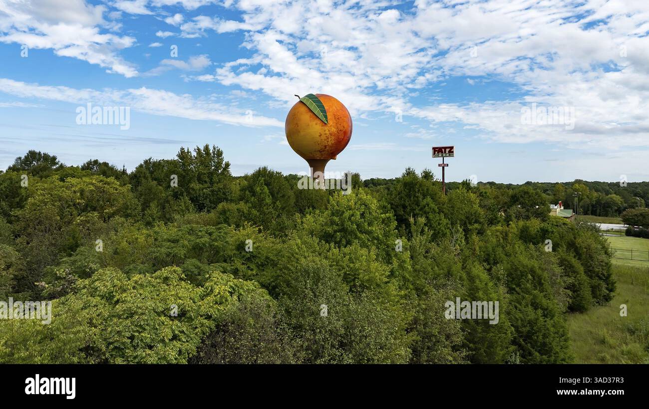 The Peachoid, a 135-foot water tower in Gaffney, SC, resembles a peach ...