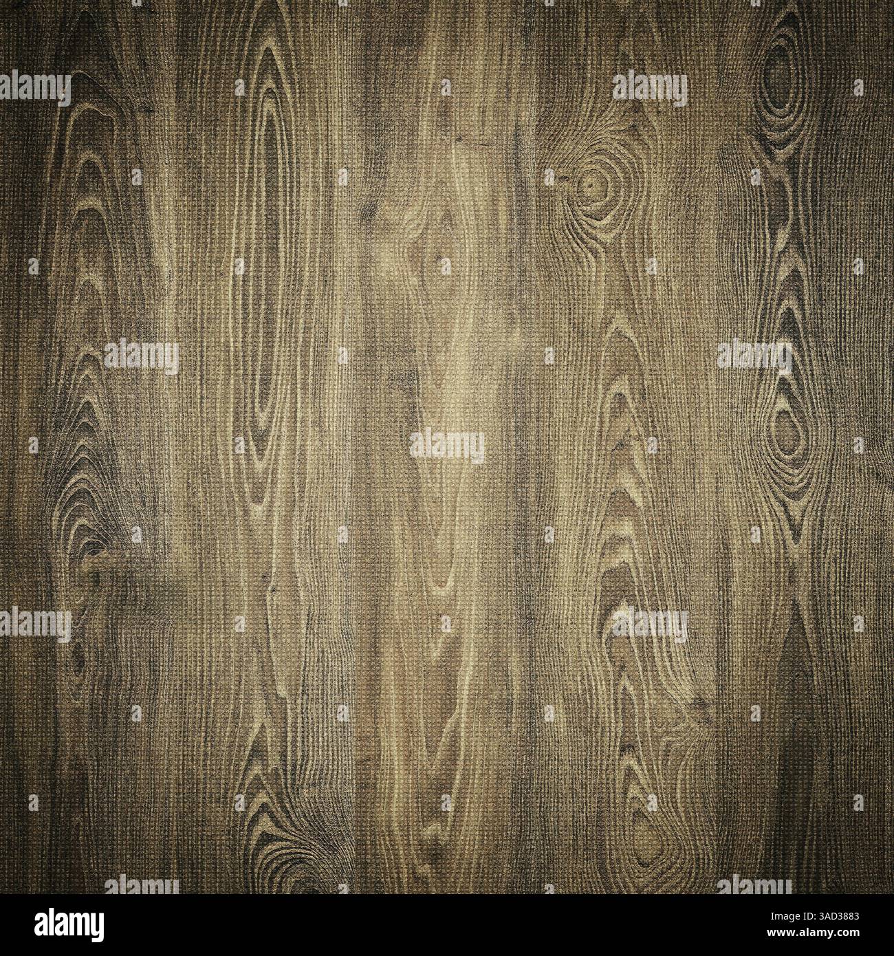 Close-up of detailed wood structure featuring prominent grain patterns ...