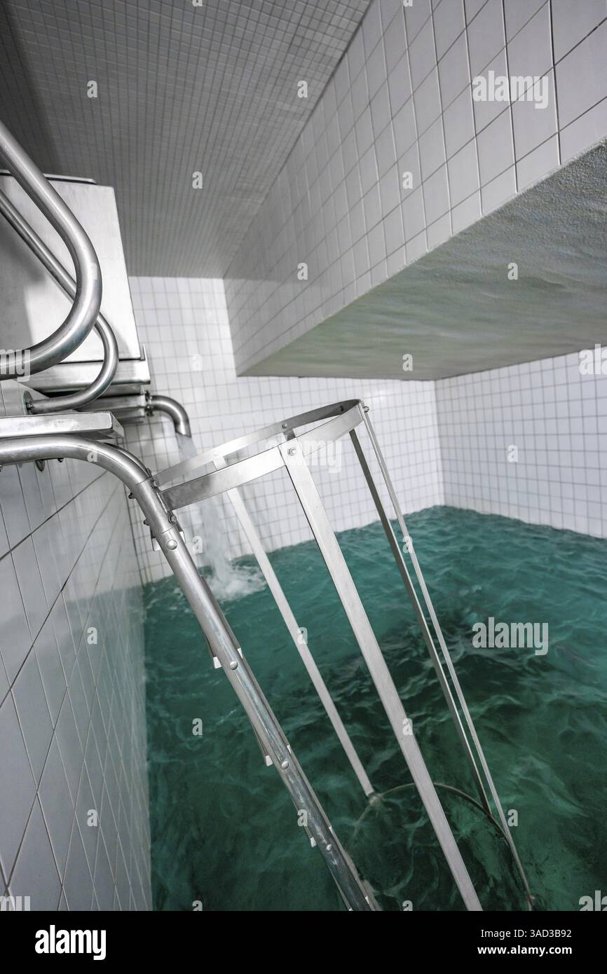 Contamination of the mechanism hi-res stock photography and images - Alamy