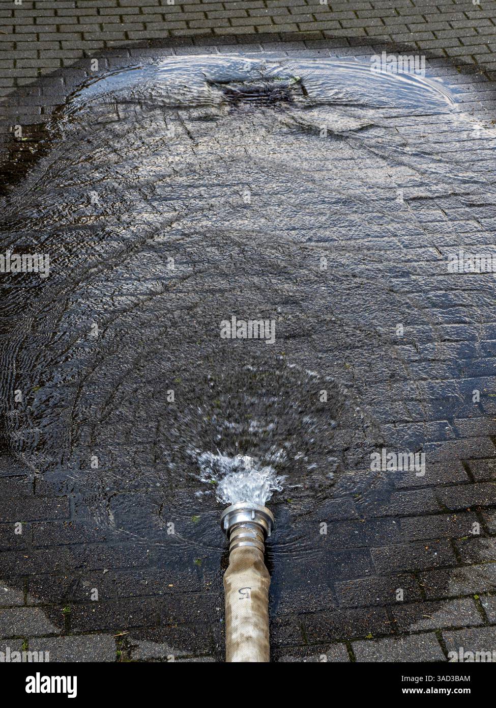 Fire hose drains water Stock Photo - Alamy