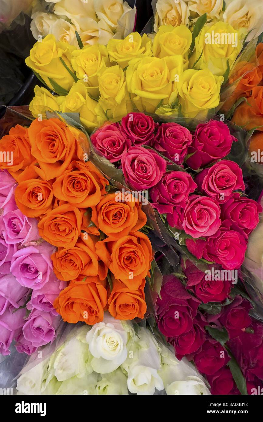Top view of offer arrangement of roses in five bouquets Bouquets of ...