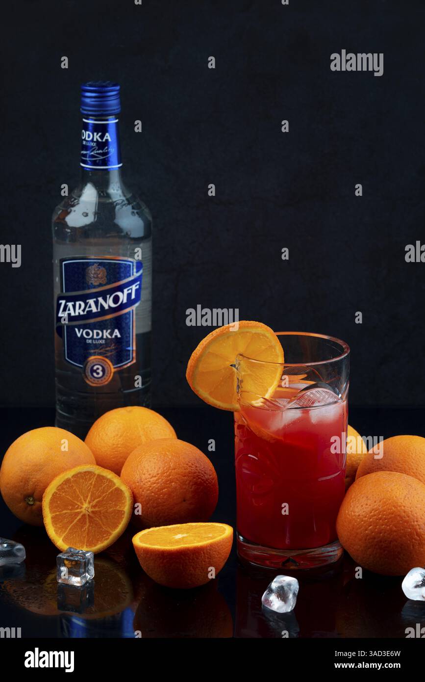 Vodka, oranges, long drink with ice cube cubes, vodka bottle in the ...