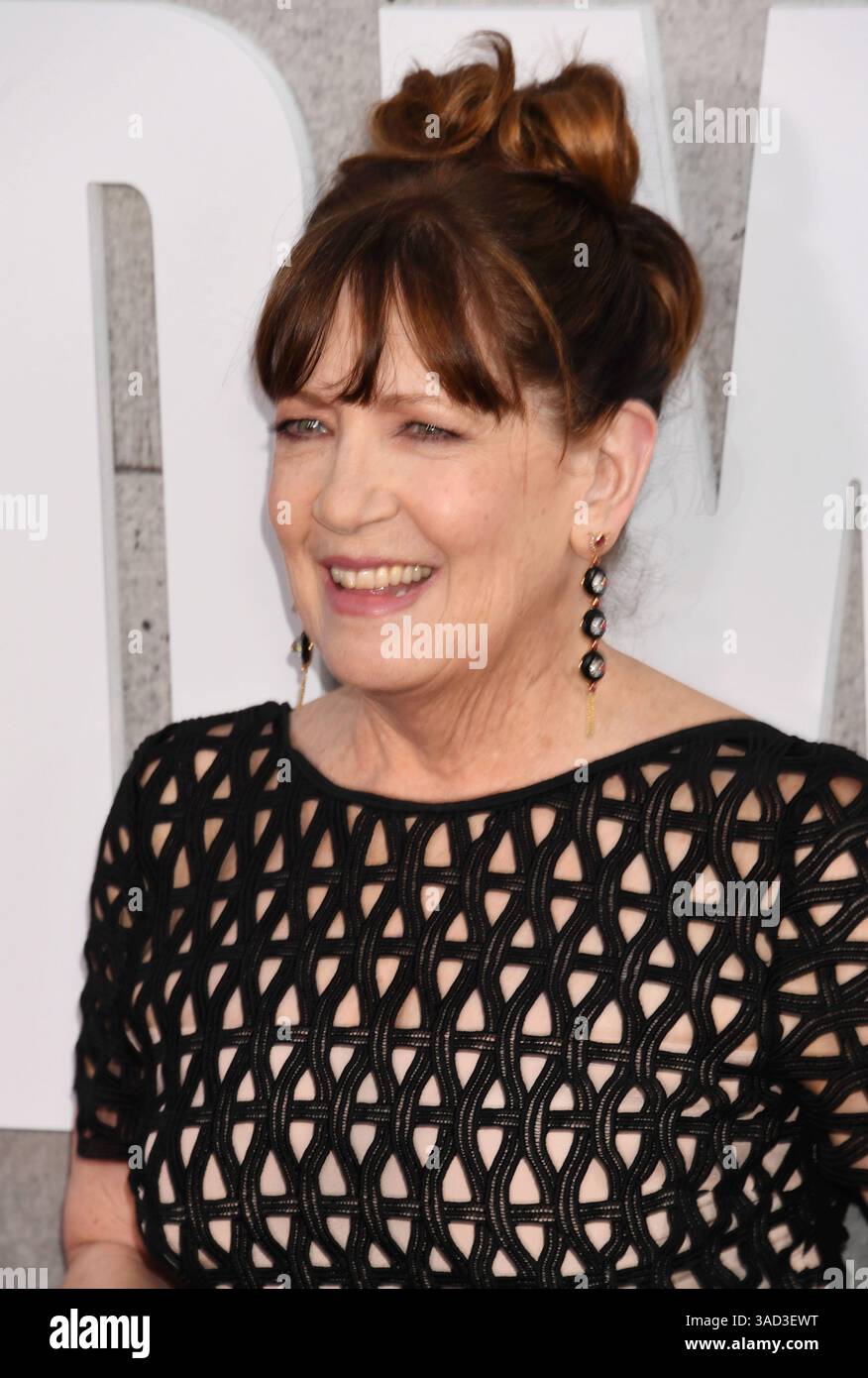 HOLLYWOOD, CALIFORNIA - APRIL 02: Ann Dowd attends Hulu's season 6 ...