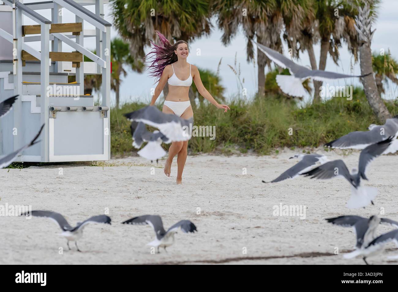A stunning woman relaxes on the beach in a bikini that highlights her curves. She enjoys the ...