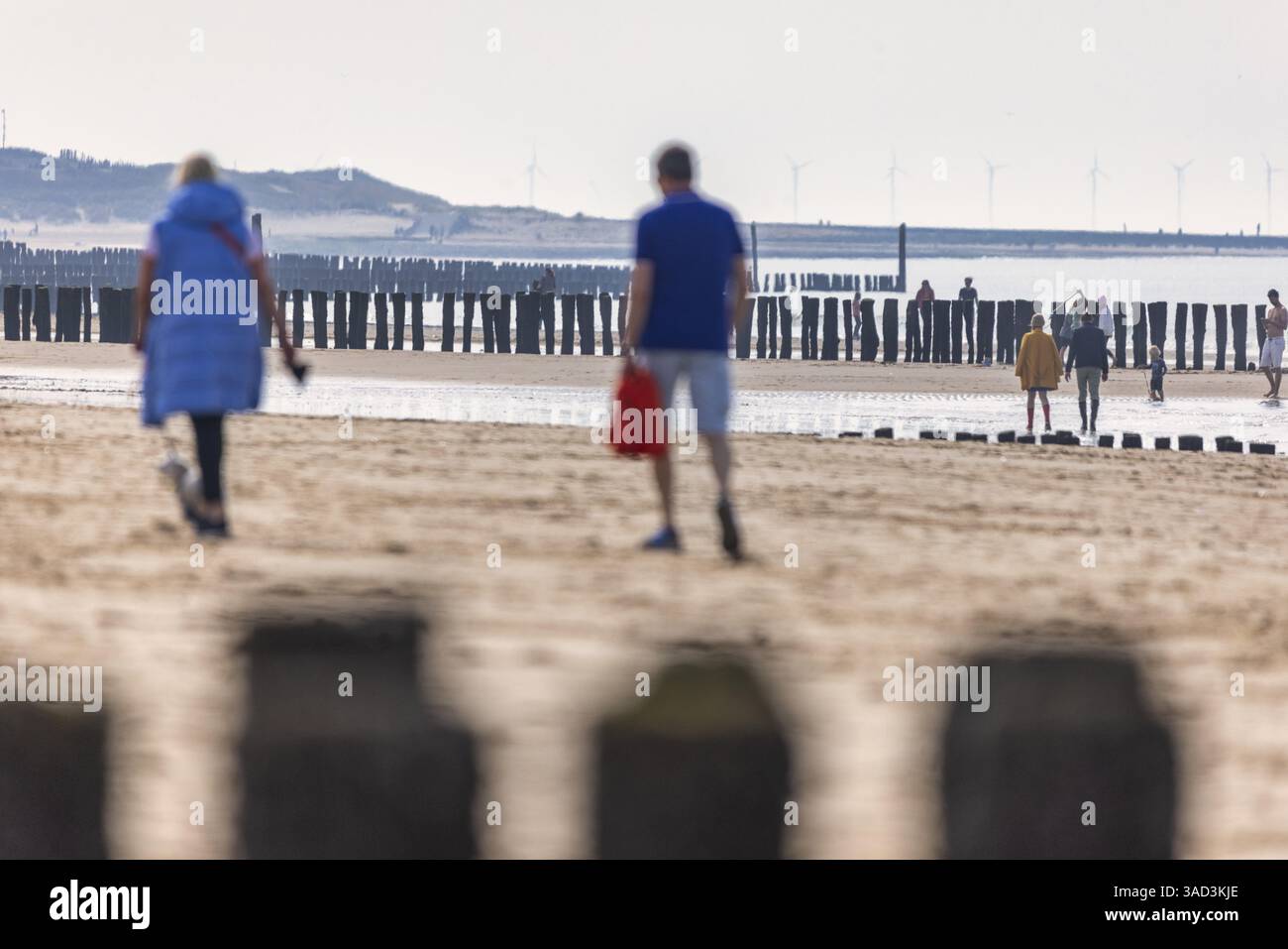 Silhouettes of walkers on the beach with wooden piles, groynes ...