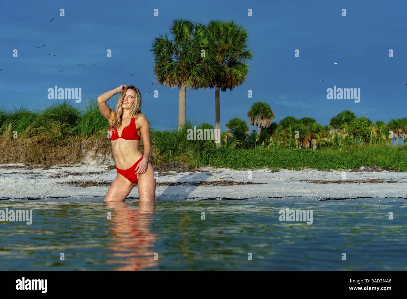 A stunning woman relaxes on the beach in a bikini that highlights her curves. She enjoys the ...