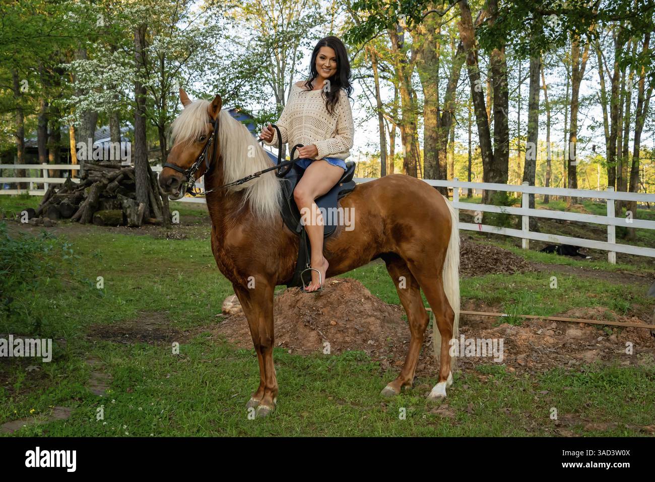 A gorgeous brunette southern belle poses with her horse, trotting ...