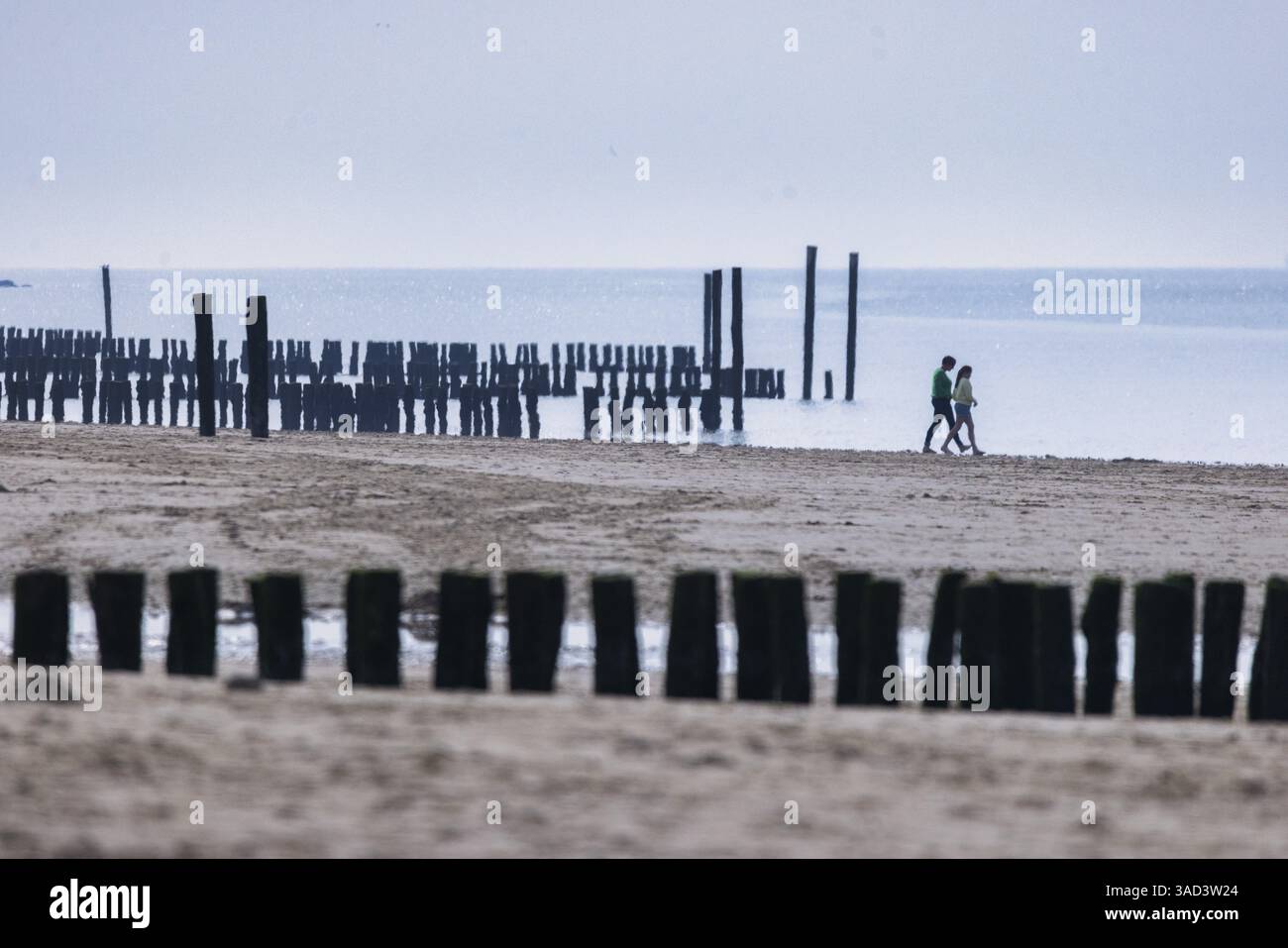 Silhouettes of walkers on the beach between wooden piles, groynes ...