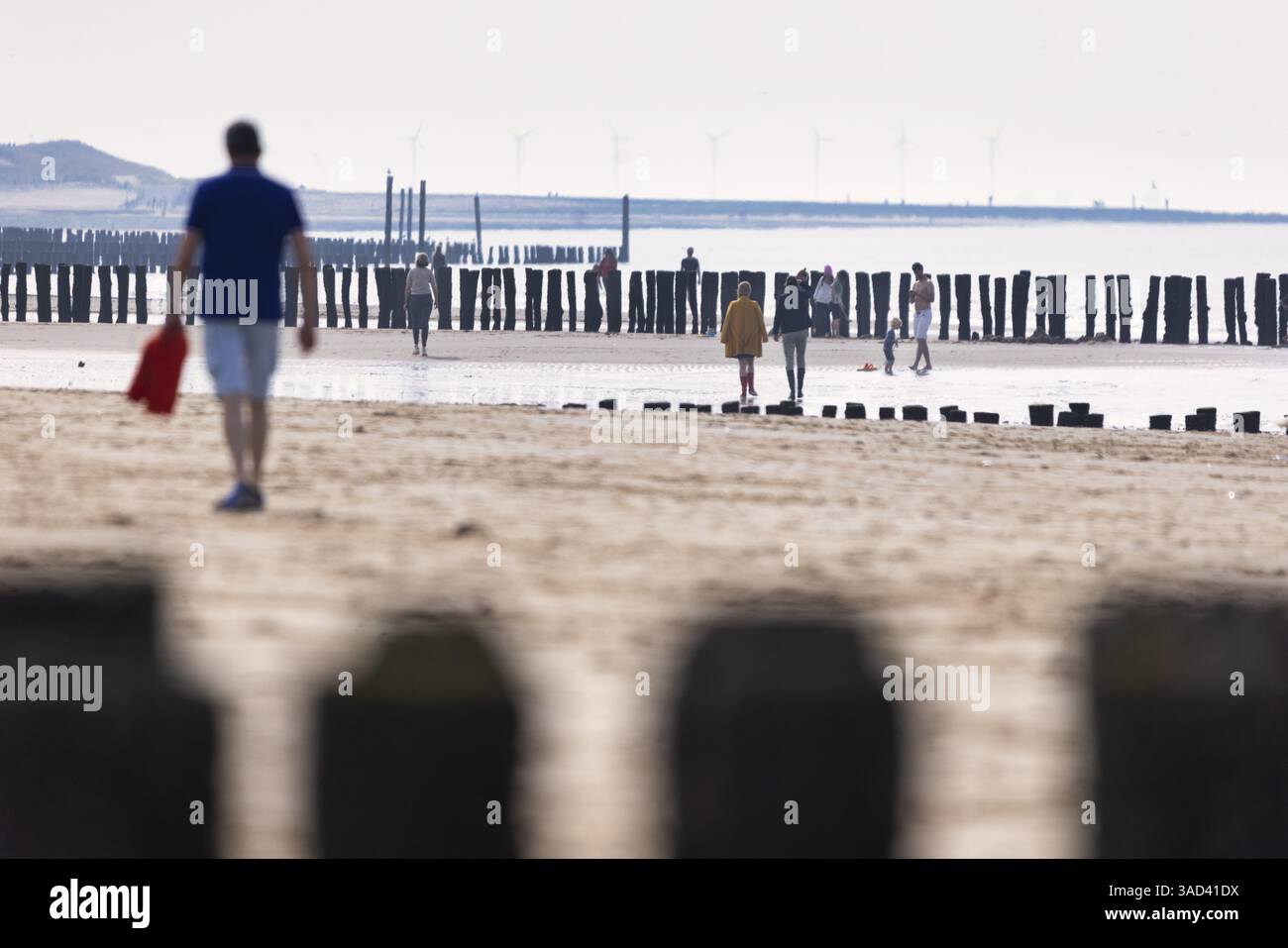 Silhouettes of walkers on the beach with wooden piles, groynes ...