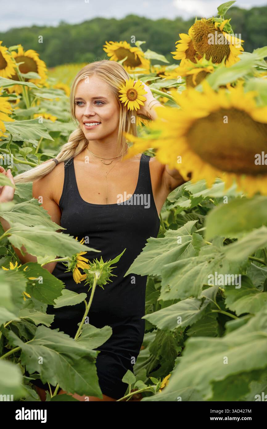 A stunning blonde model gracefully poses in a vibrant sunflower field ...