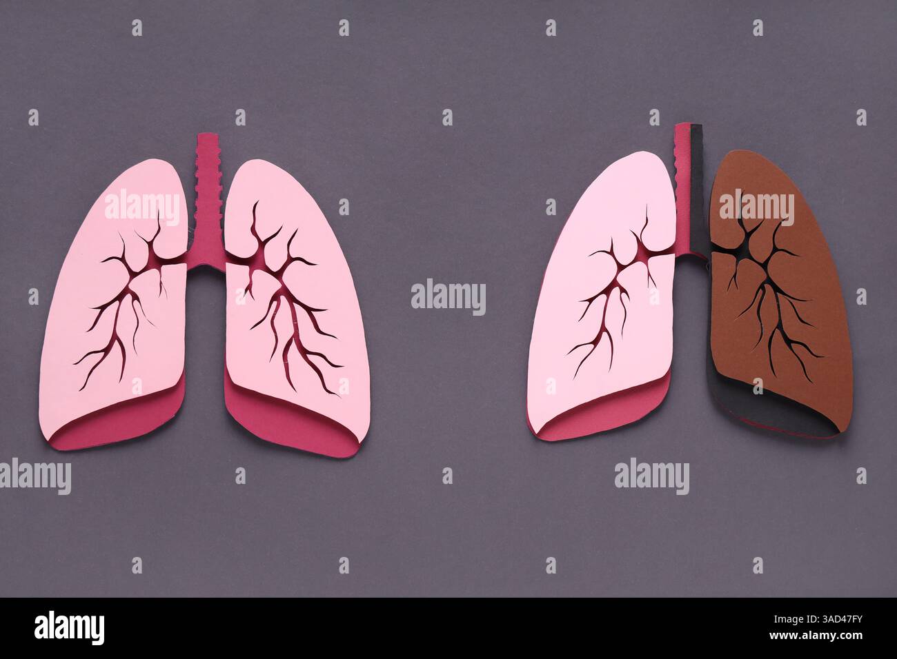 Paper lungs on dark background Stock Photo - Alamy
