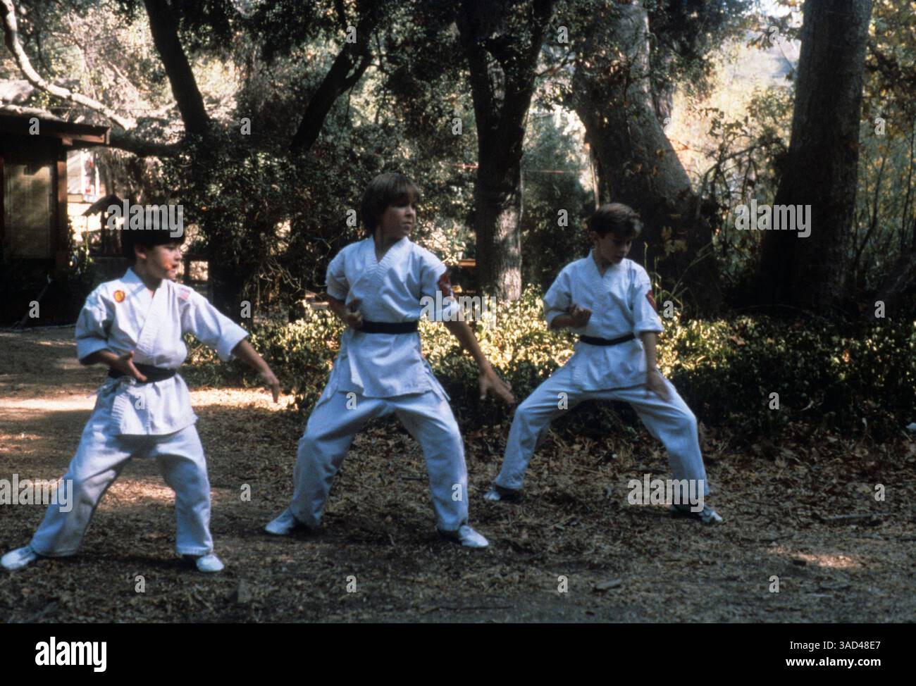 Film still / Publicity still from "3 Ninjas" Chad Power, Max Elliott ...