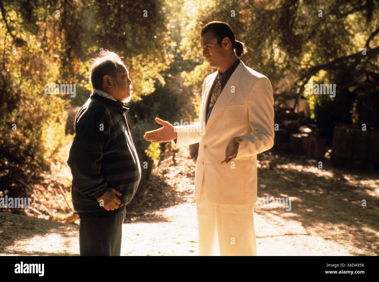 Film still / Publicity still from "3 Ninjas" Victor Wong, Rand Kingsley ...