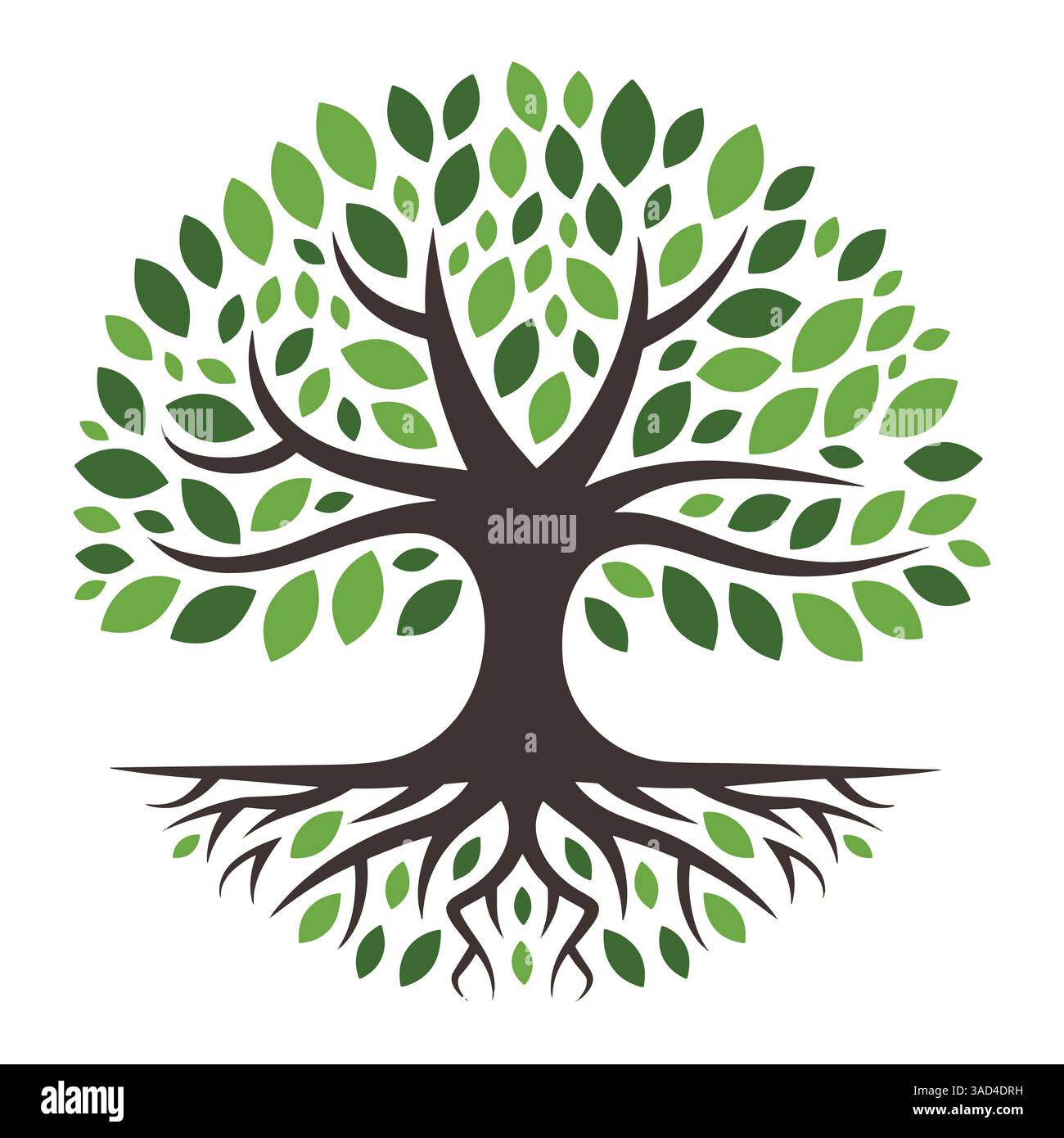 Green tree vector illustration featuring lush leaves and visible roots ...