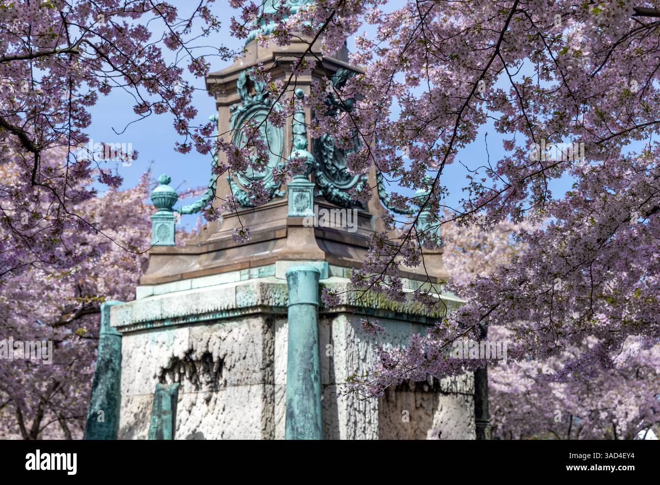 Cherry Blossom in Langelinie park on a beautiful spring day. Sakura ...