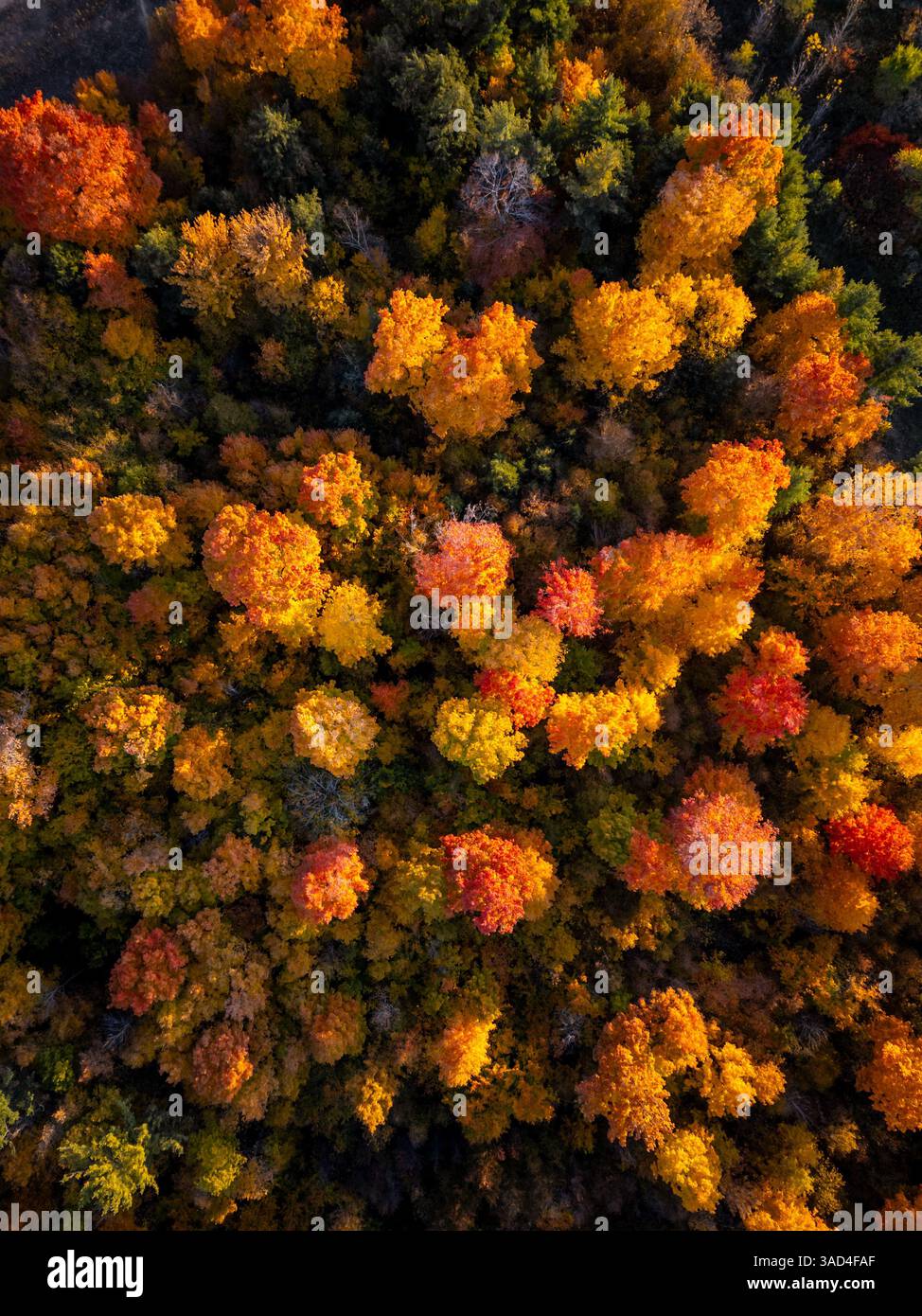 Early morning bird's eye view of Ottawa in the Fall Stock Photo - Alamy