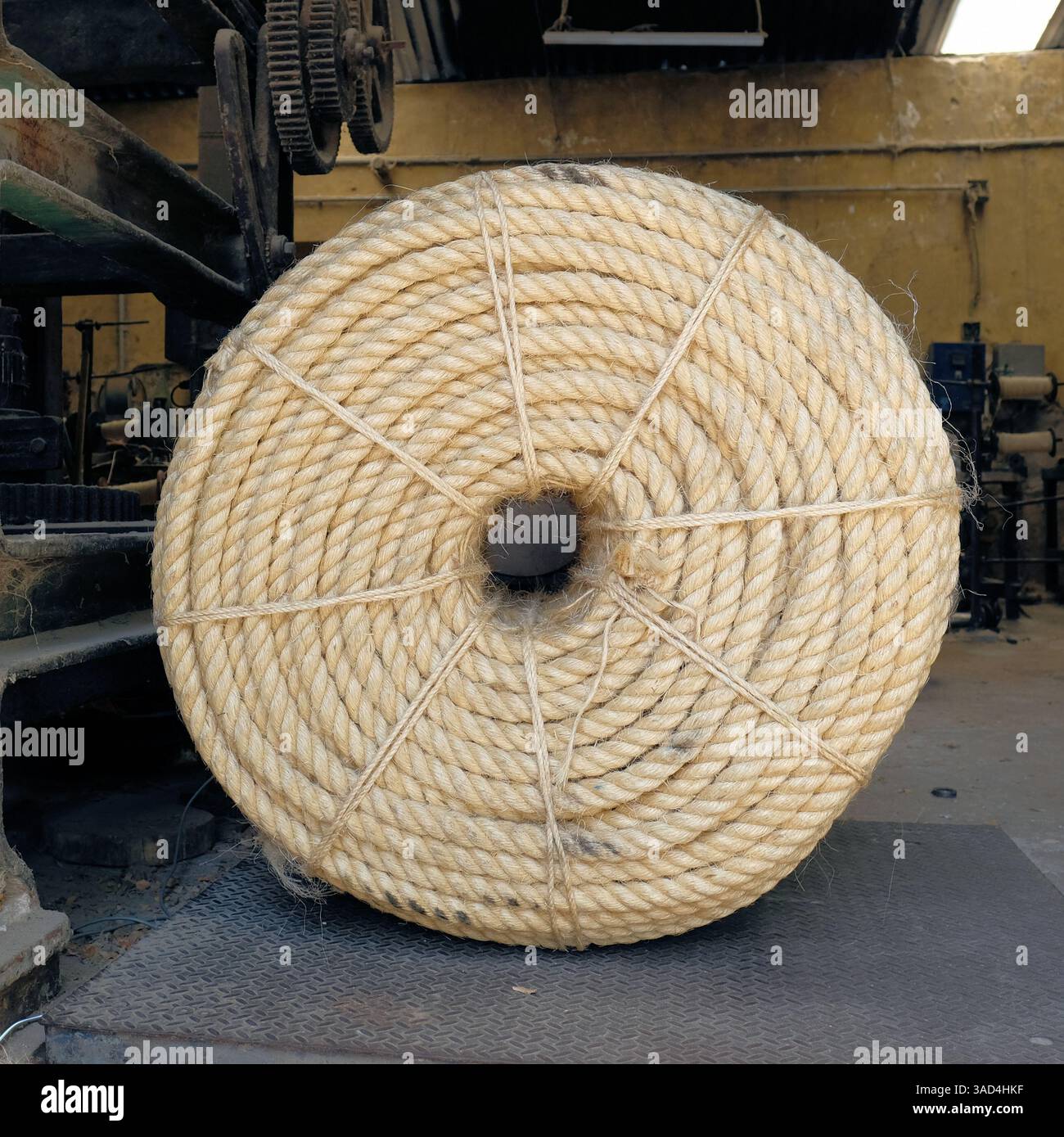 Agave fiber hi-res stock photography and images - Alamy